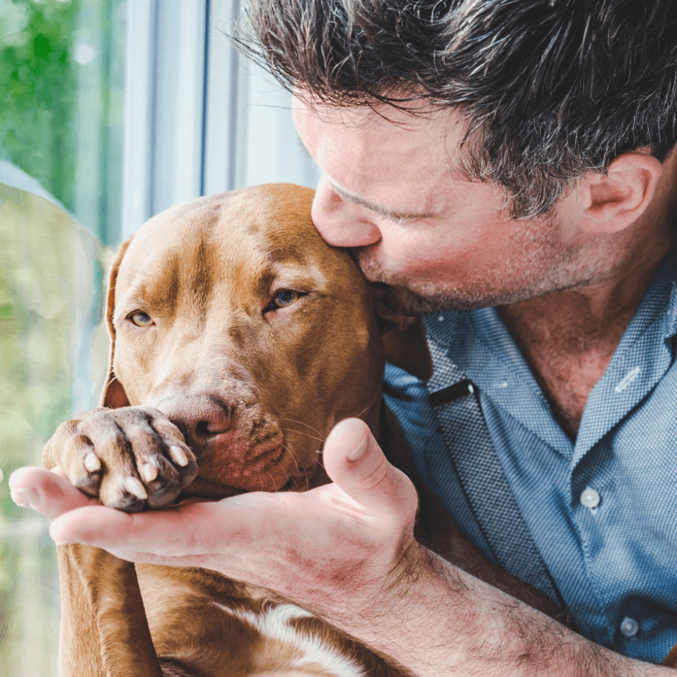 In-Home Pet Euthanasia In Orlando, FL | Orlando Animal Home